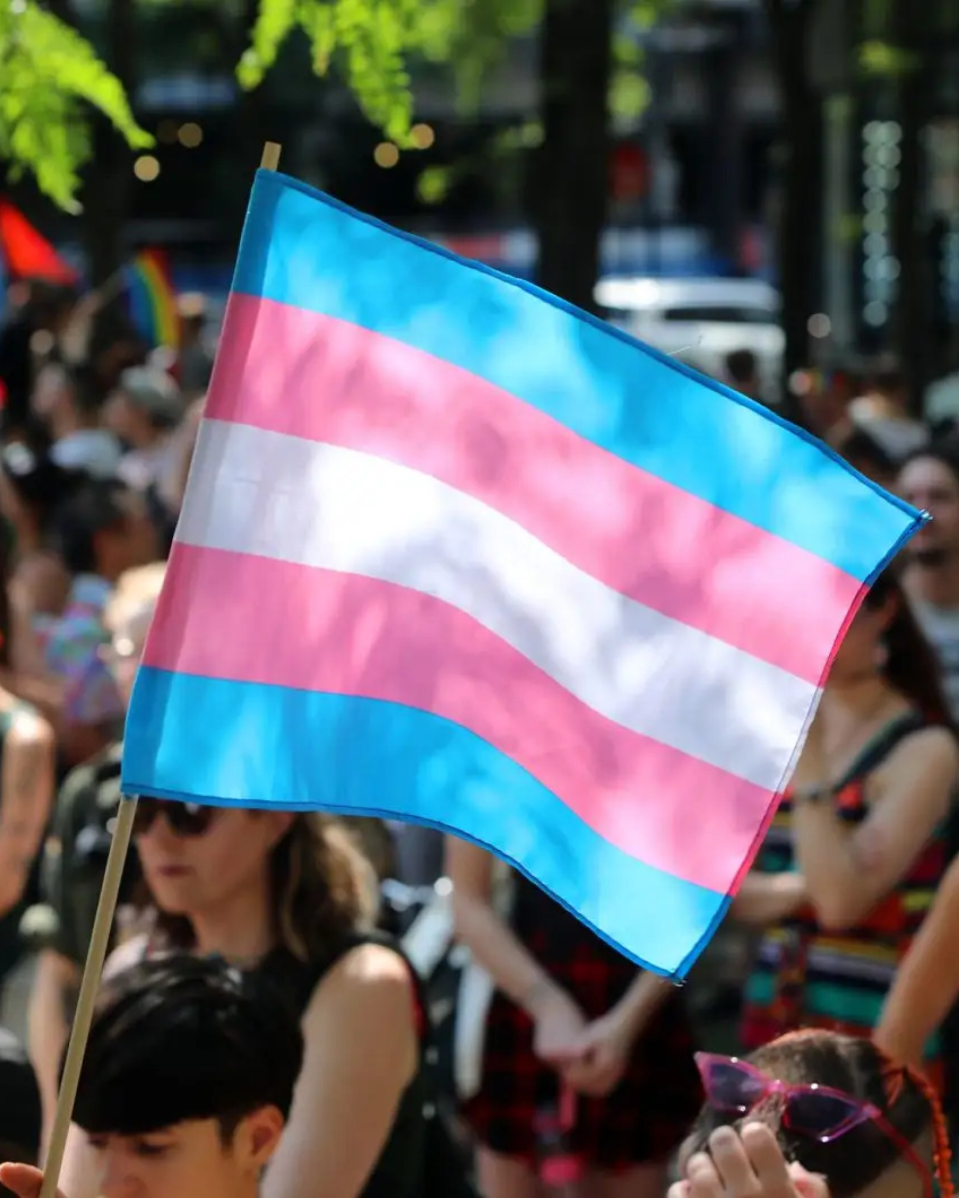 Belgique – Mobilisation pour les droits humains, trans et reproductifs ...